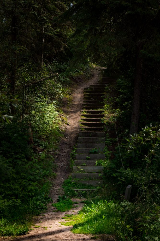 HIKE BOARDWALK TRAIL & LONG POINT TRAIL | SIR WINSTON CHURCHILL ...